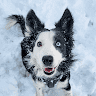 Ben_dover's Profile - Kandi Pad | Kandi Patterns, Fuse Bead Patterns ...